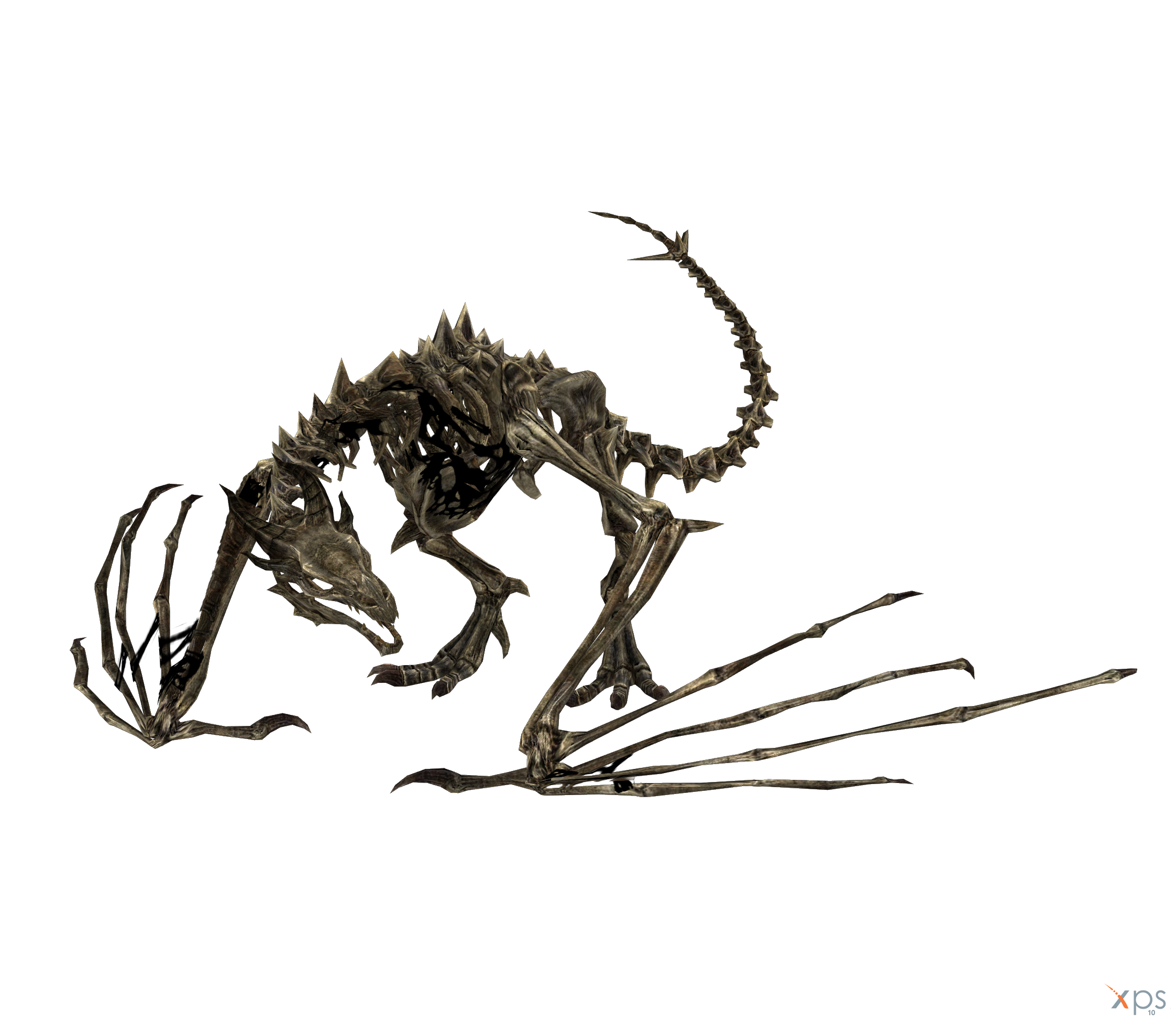 XPS MMD TES V: Dragon skeleton by Tokami-Fuko on DeviantArt