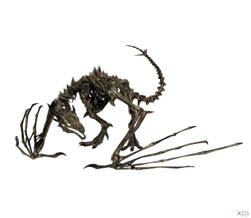 XPS MMD TES V: Dragon skeleton by Tokami-Fuko on DeviantArt