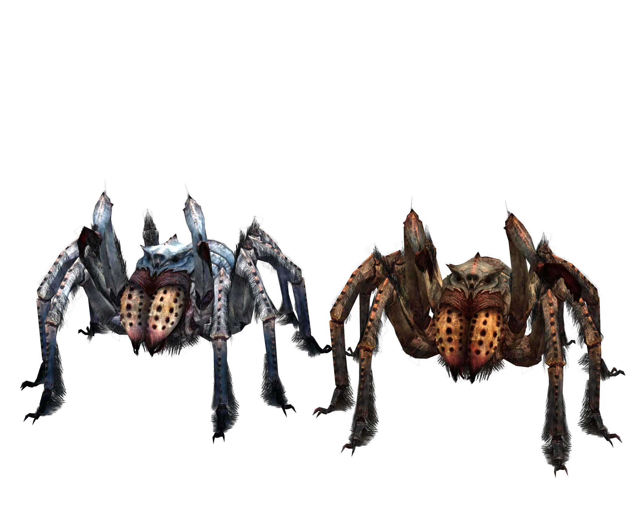 XPS TES V: Frostbite Spiders dl (UPDATE) by Tokami-Fuko on DeviantArt