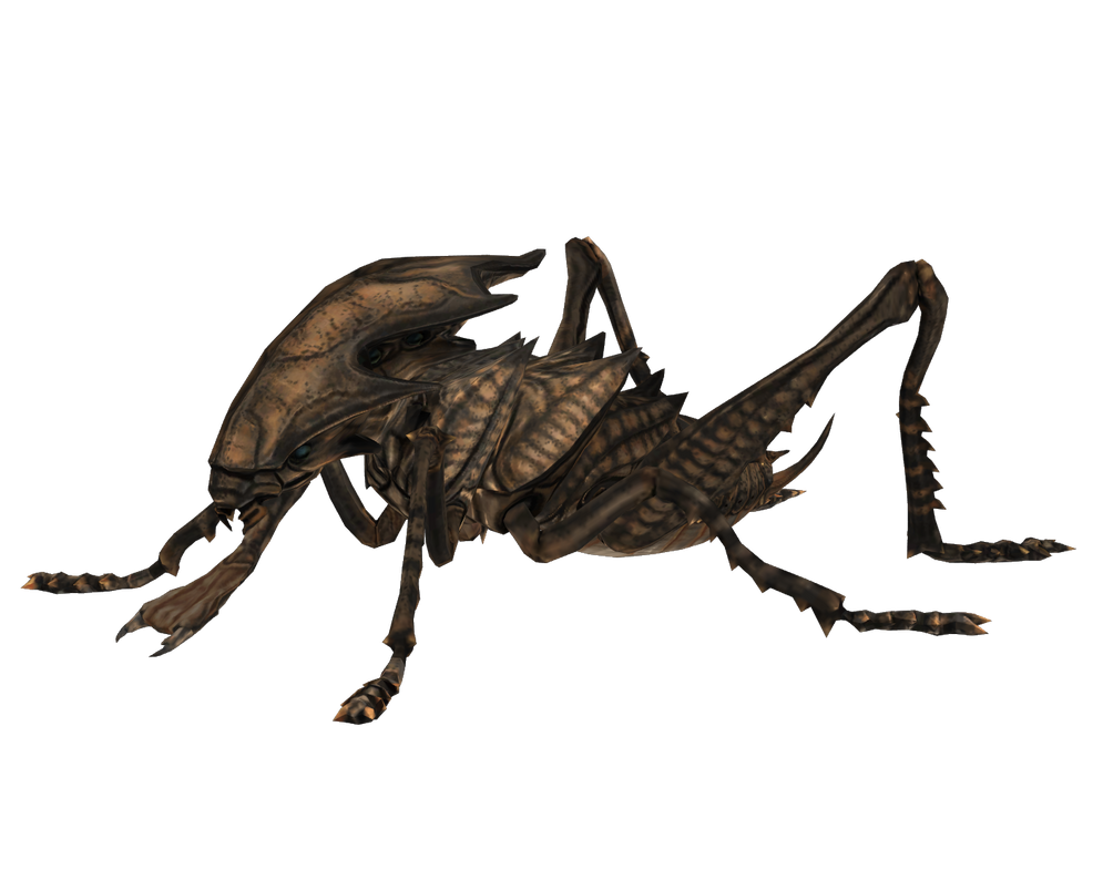 XPS TES V: Scrib (Ash Hooper) by Tokami-Fuko on DeviantArt