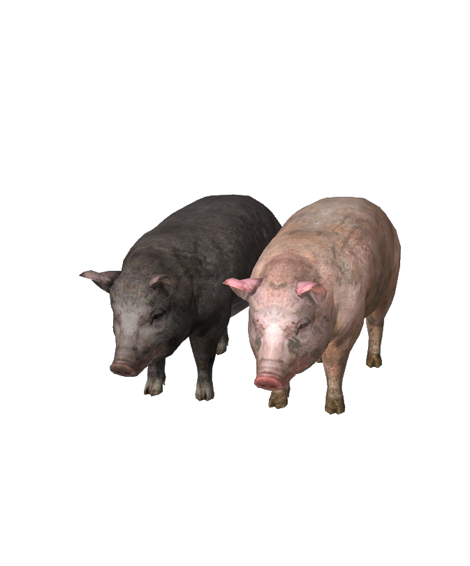 TW3 Pigs xps by Tokami-Fuko on DeviantArt