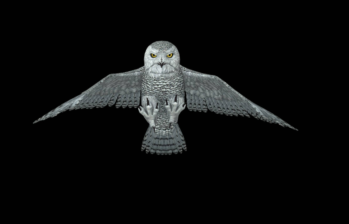 XPS TW3: Night Owl by Tokami-Fuko on DeviantArt
