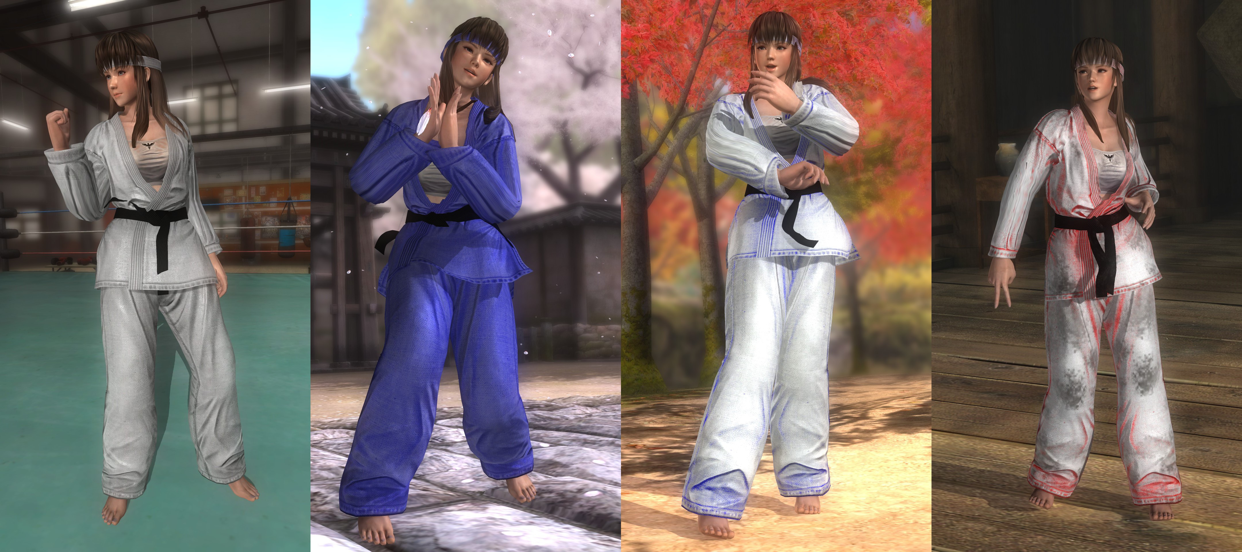 DOA5LR Mod: Long Sleeve Gi by repinscourge on DeviantArt