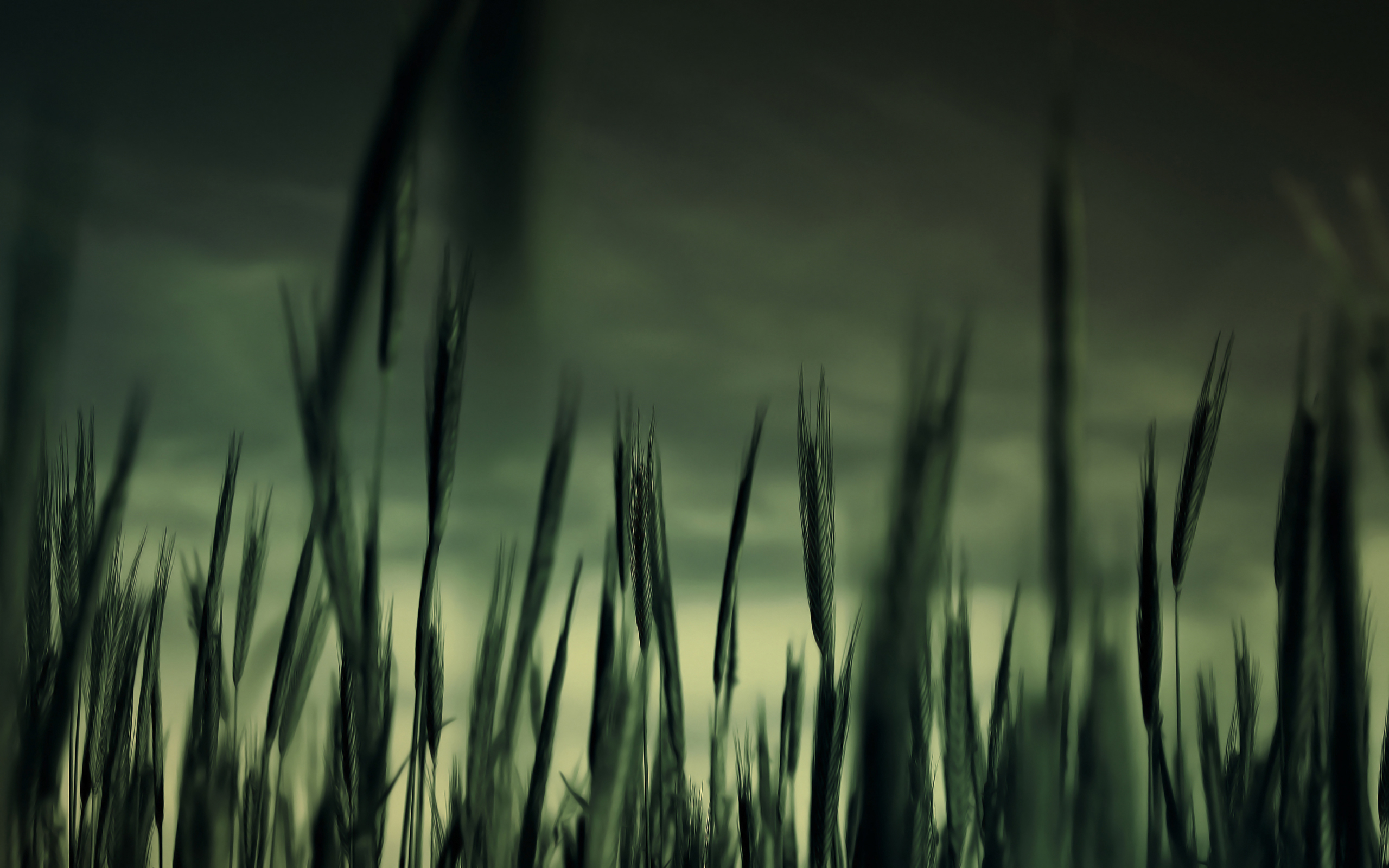 Dark Field by niklasK on DeviantArt