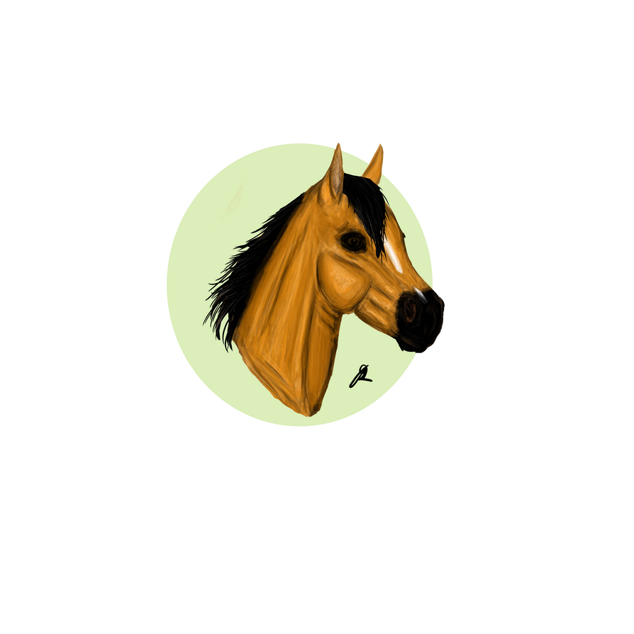 Buckskin by LupeSchanna on DeviantArt