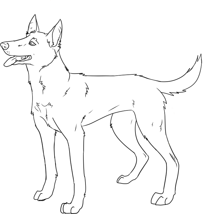 Free Belgian Malinois Lineart by ATTACK--DOG on DeviantArt
