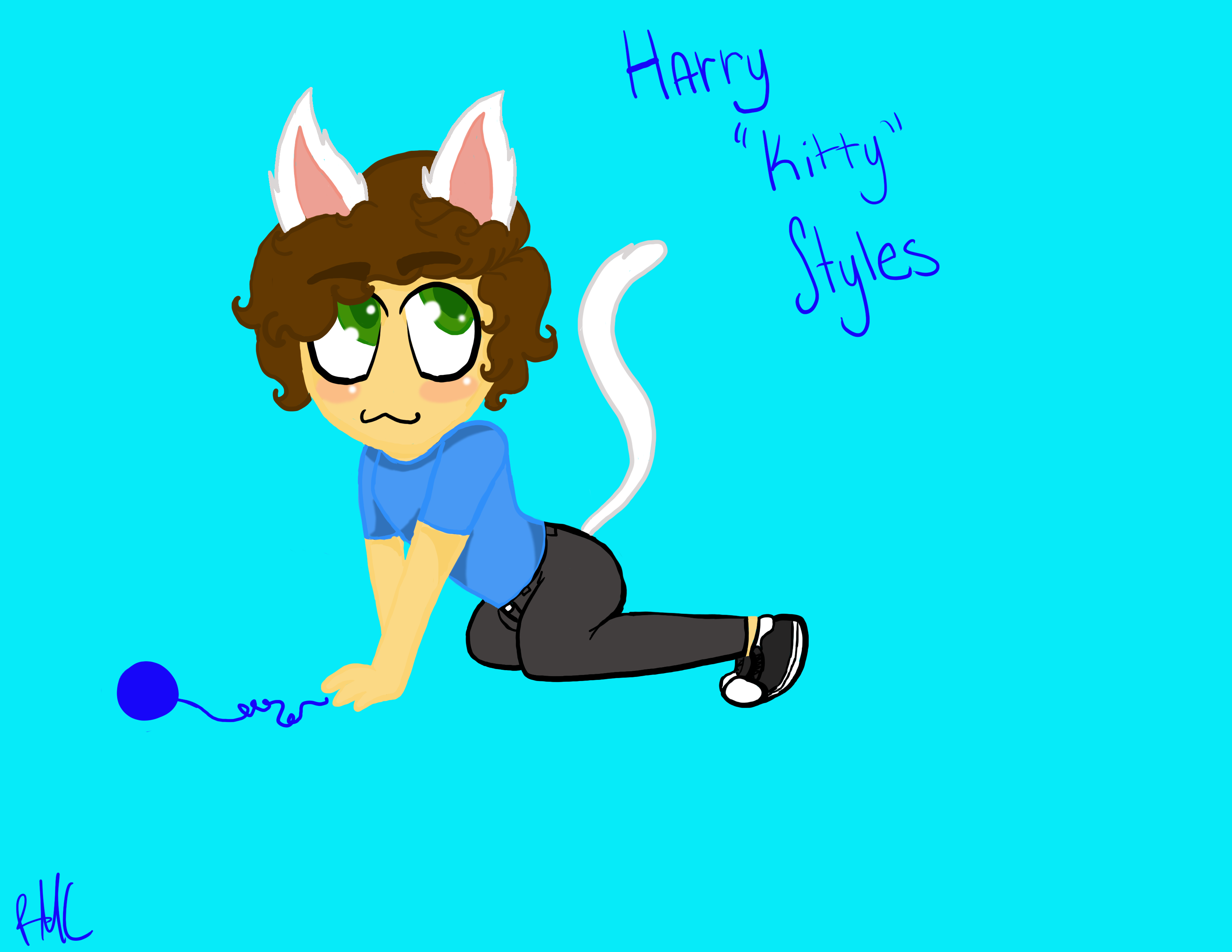 Harry Kitty Styles by Onedirectioner1236 on DeviantArt