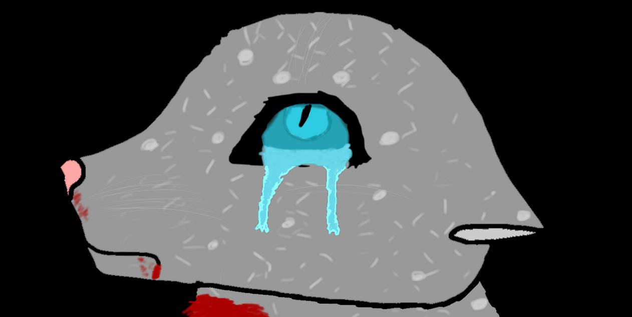 Ashfur's Sadness by eep715 on DeviantArt