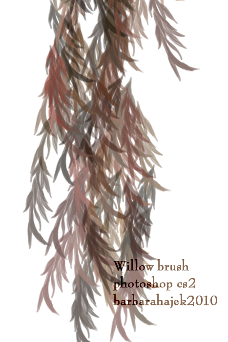 Willow Brush by hajek-barbara on DeviantArt