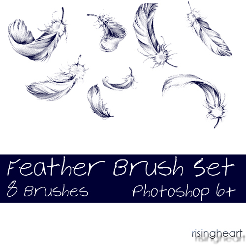 Feather Brush Set 1 by risingheart on DeviantArt