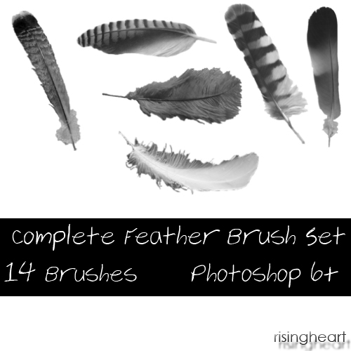 Complete Feather Brush Set by risingheart on DeviantArt