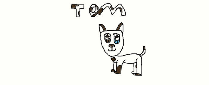 Tom on LPS-Popular-Fans - DeviantArt