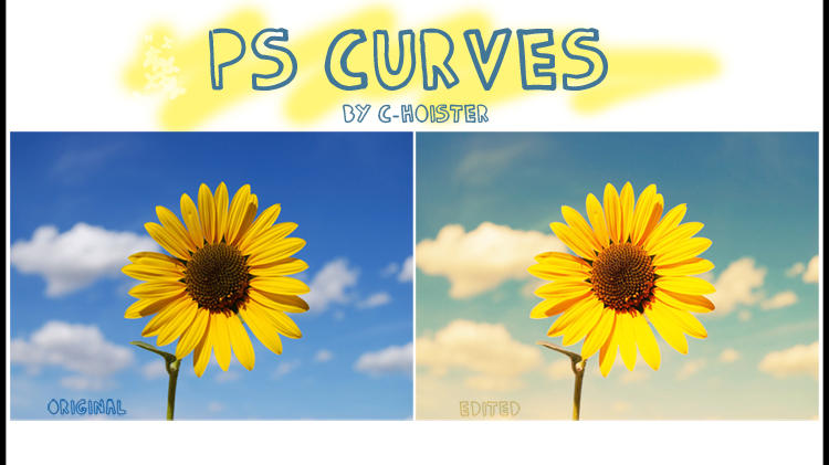 photoshop curves: sunflower by c-hoister on DeviantArt