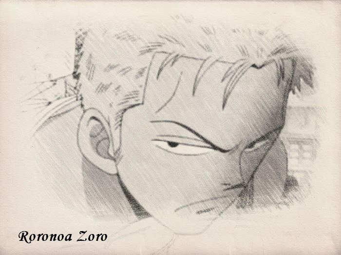 Roronoa Zoro by Alicetiger on DeviantArt