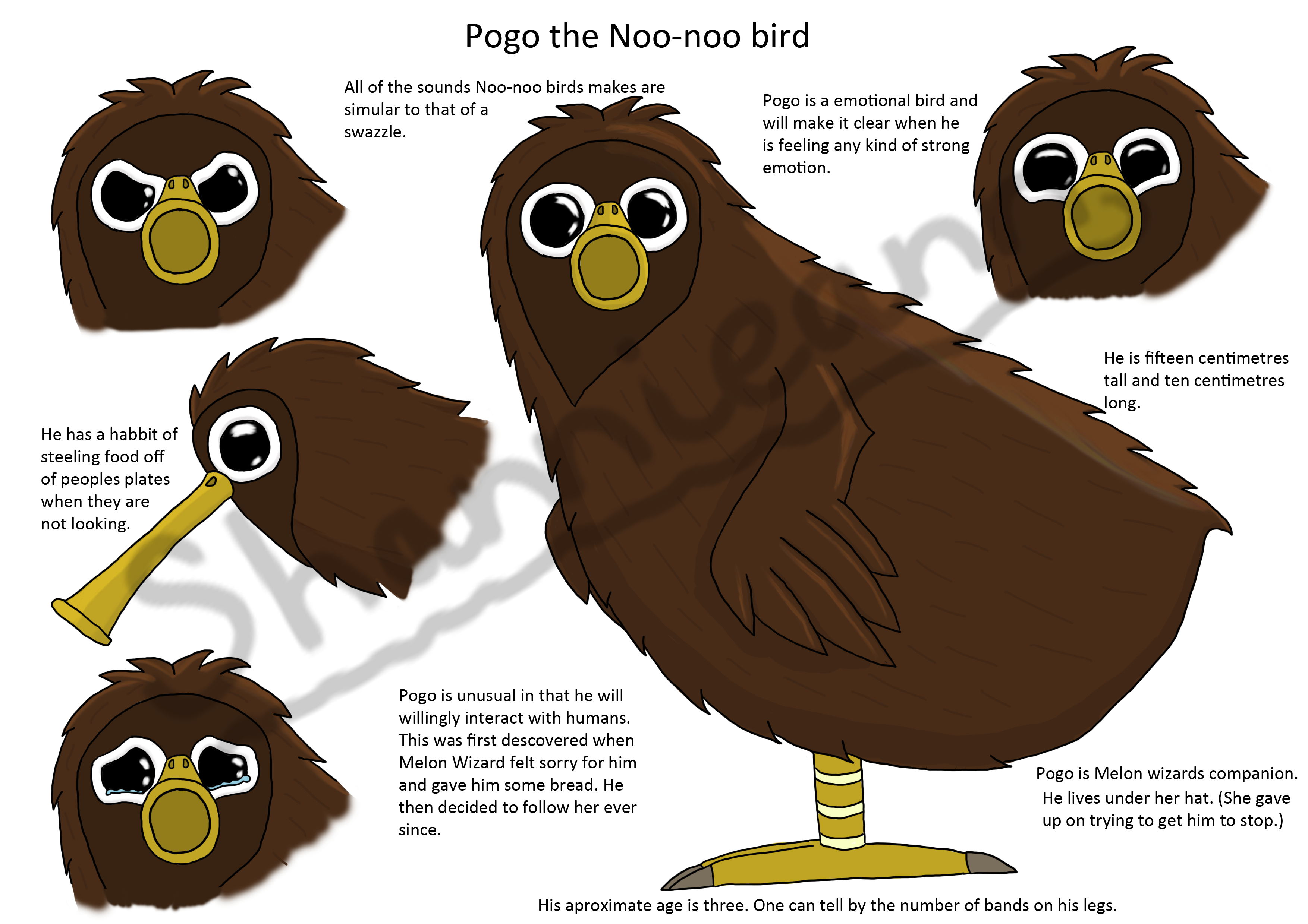 Pogo the Noo-noo bird by Shannieann on DeviantArt