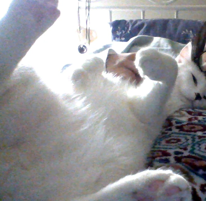 nYEH by Crummy-Juncture on DeviantArt