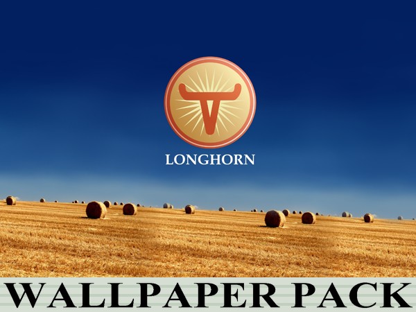 Longhorn Wallpaper Reworked (3840 px) by CitizenJustin on DeviantArt
