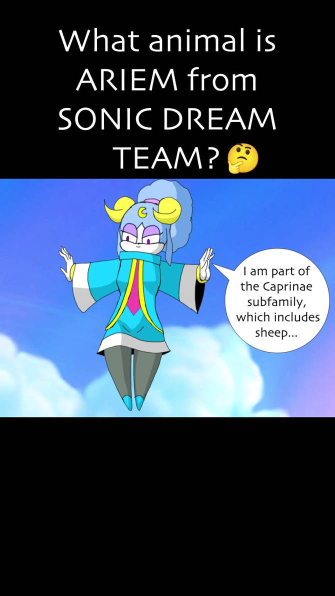 What animal is ARIEM??? by dhim on DeviantArt