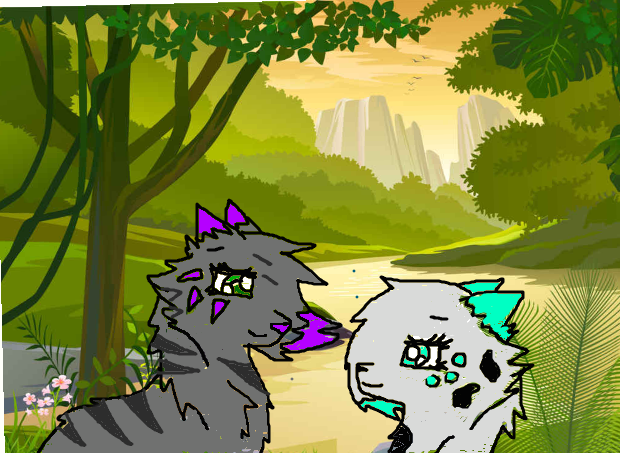 Ravenstorm and Birchpaw by Ravenstorm123 on DeviantArt