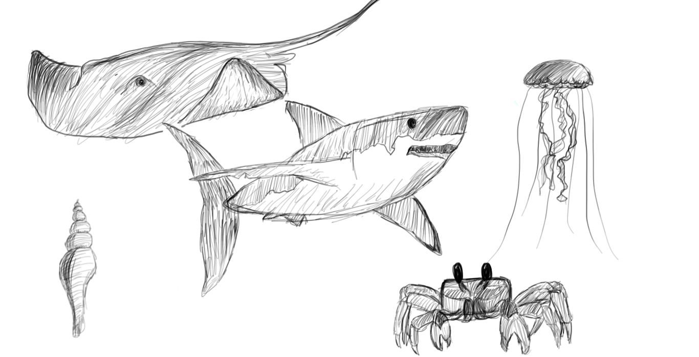 Sea Animal Sketches by PassionatePencils on DeviantArt