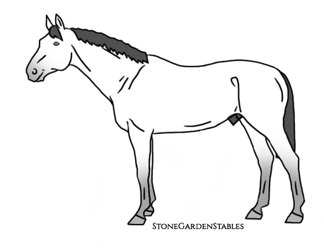 StoneGardenStables - Hobbyist, Digital Artist | DeviantArt