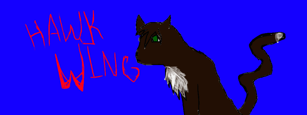 Hawkwing by symonybaloney on DeviantArt