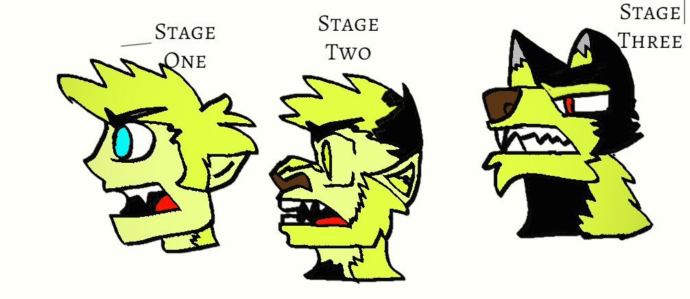 Werewolf Stages (My Version) by 21WolfieProductions on DeviantArt