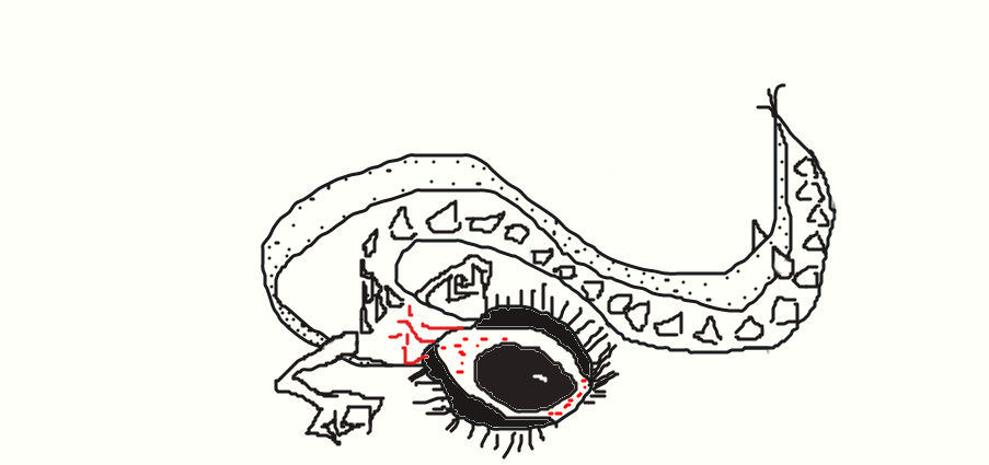 Wierd eye worm thing (I suck at drawing) by RandomUser666-69 on DeviantArt