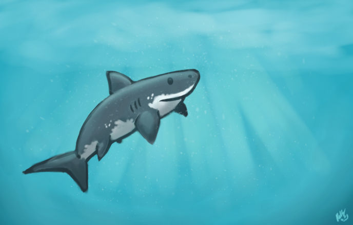 The Peaceful Great White Shark by transformersluna on DeviantArt