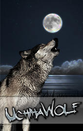 Signature - Wolf by tuningxtreme on DeviantArt
