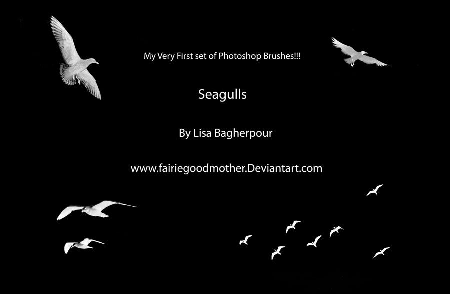 Seagulls Photoshop Brushes by FairieGoodMother on DeviantArt