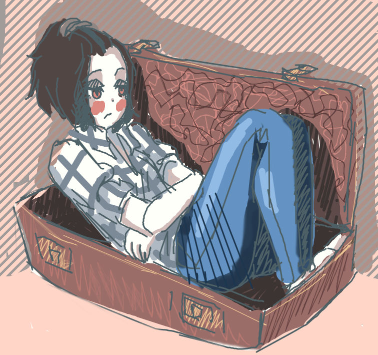 A girl in a suitcase by demAltF4 on DeviantArt