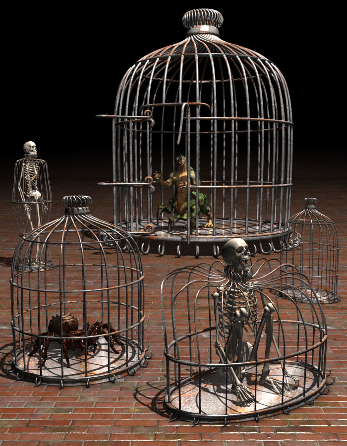 Jean-Luc's Daz and Poser ready Bird Cages by finister on DeviantArt