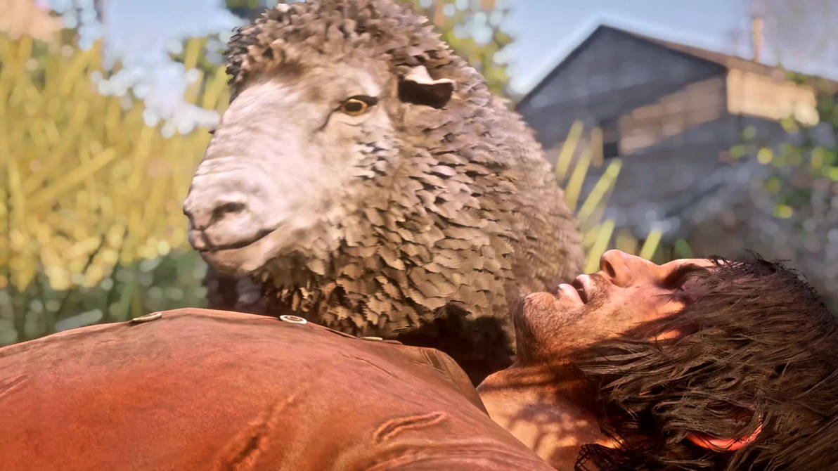 Silly Sheep by Simmeh on DeviantArt