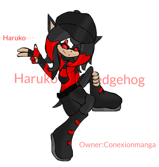 .:Haruko The Hedgehog:. Request by BAILEYxJITTER on DeviantArt