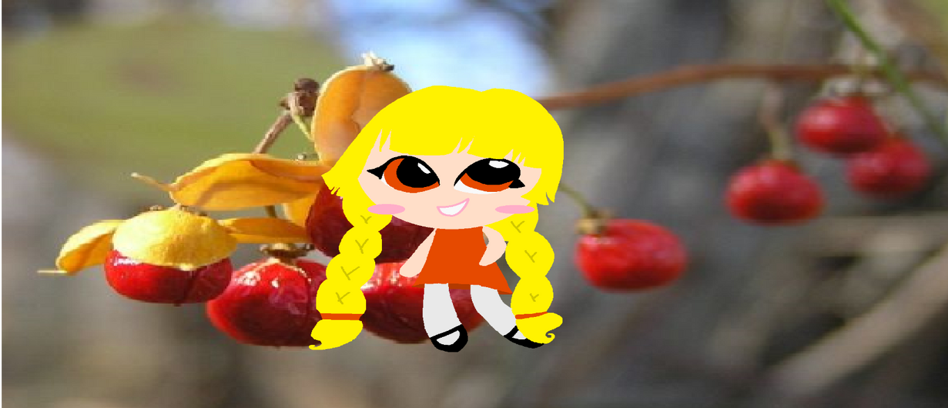 bittersweet by Amorgeegee on DeviantArt