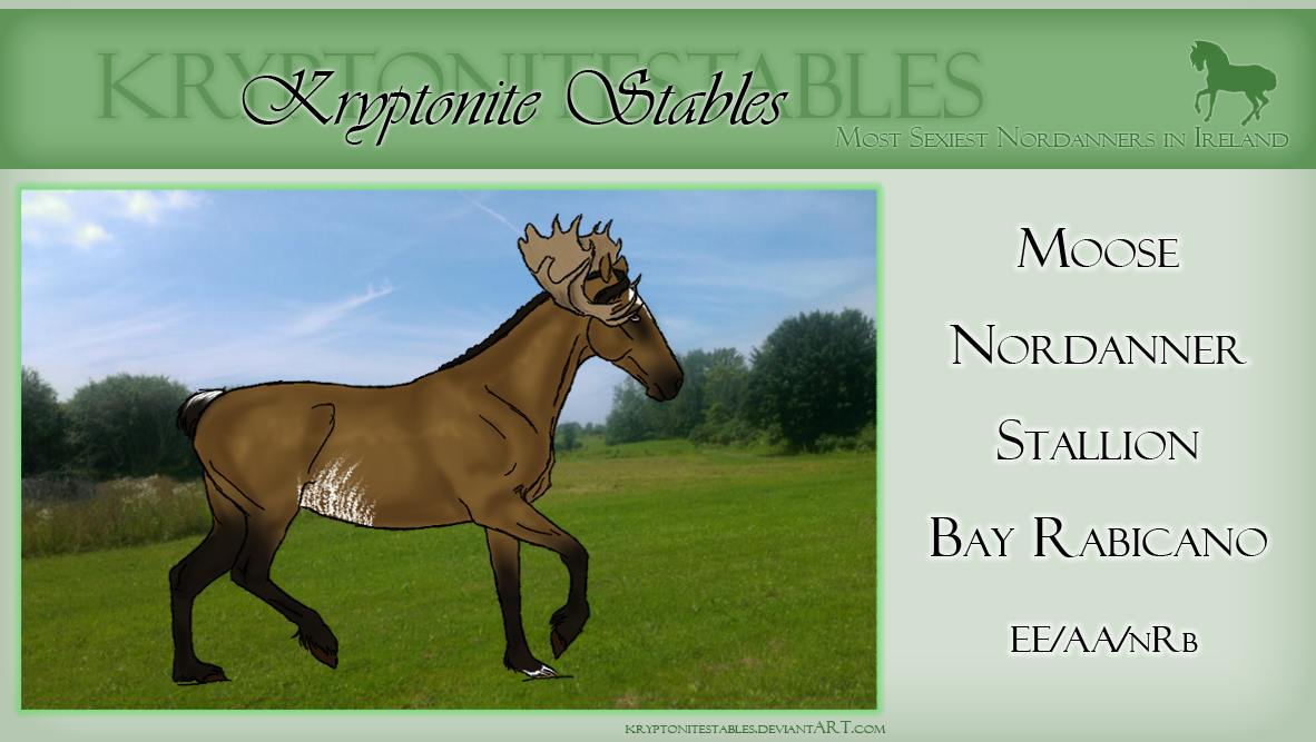 5537 KS Moose by kryptooxx on DeviantArt