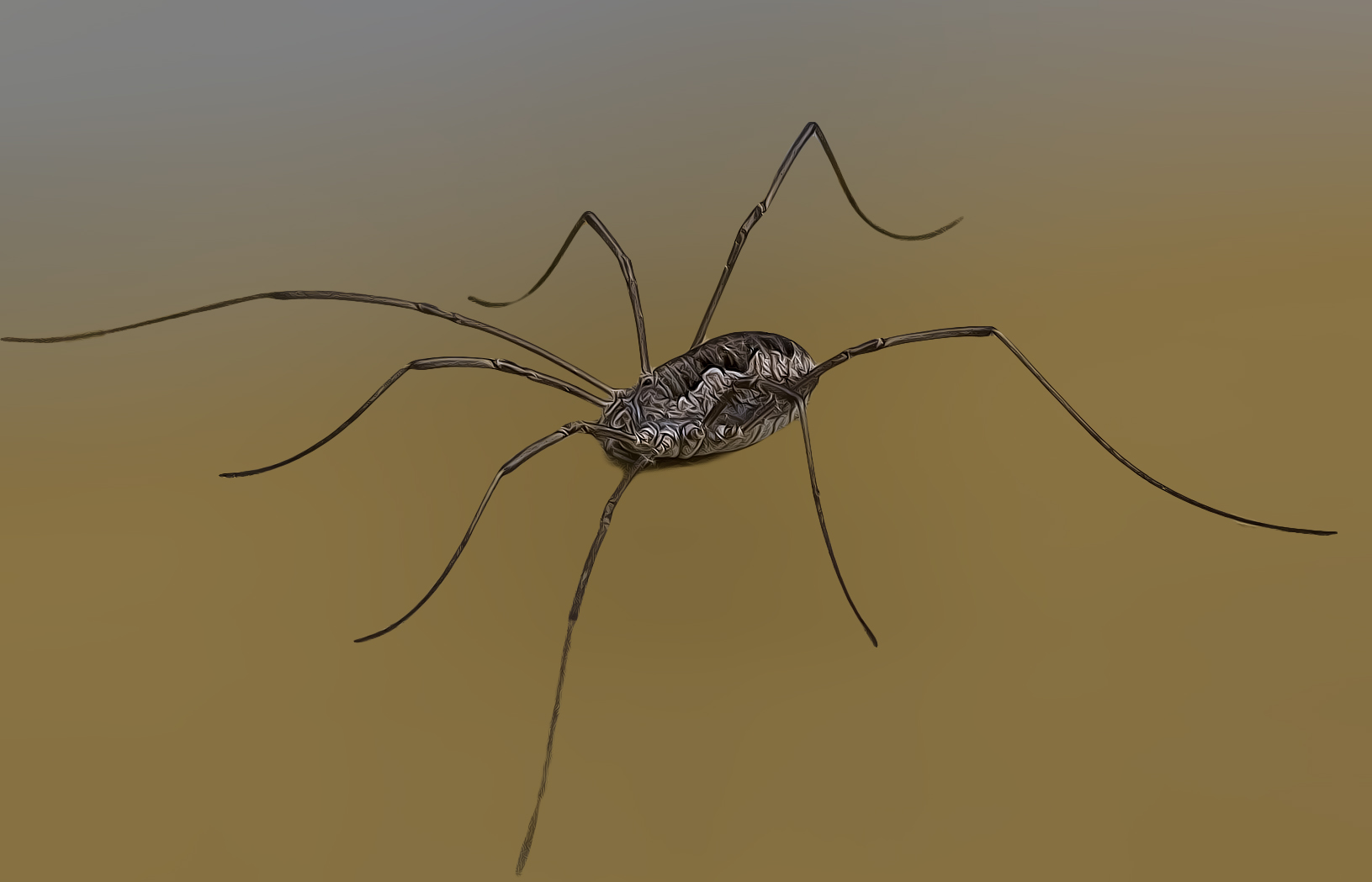 spider psd by mynameistroyan on DeviantArt