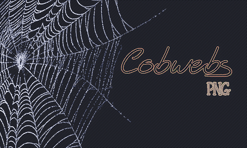 Cobwebs PNG by milkyanunnie on DeviantArt