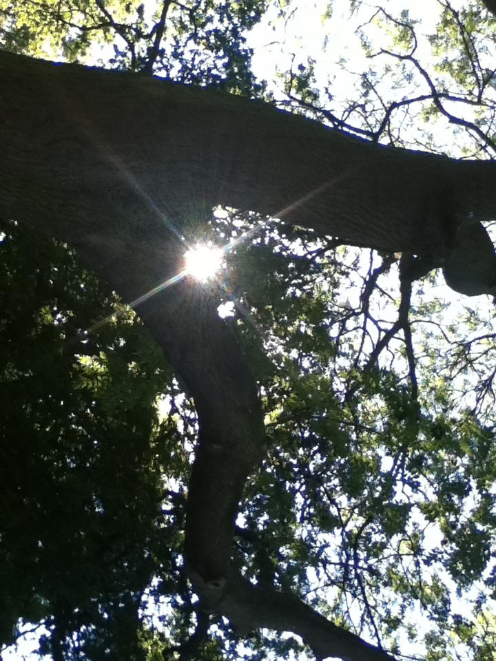 Sedecim Aevum by berrywhitesnow on DeviantArt