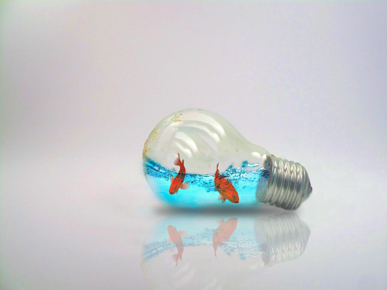 Bulb Fish by animalscandraw on DeviantArt