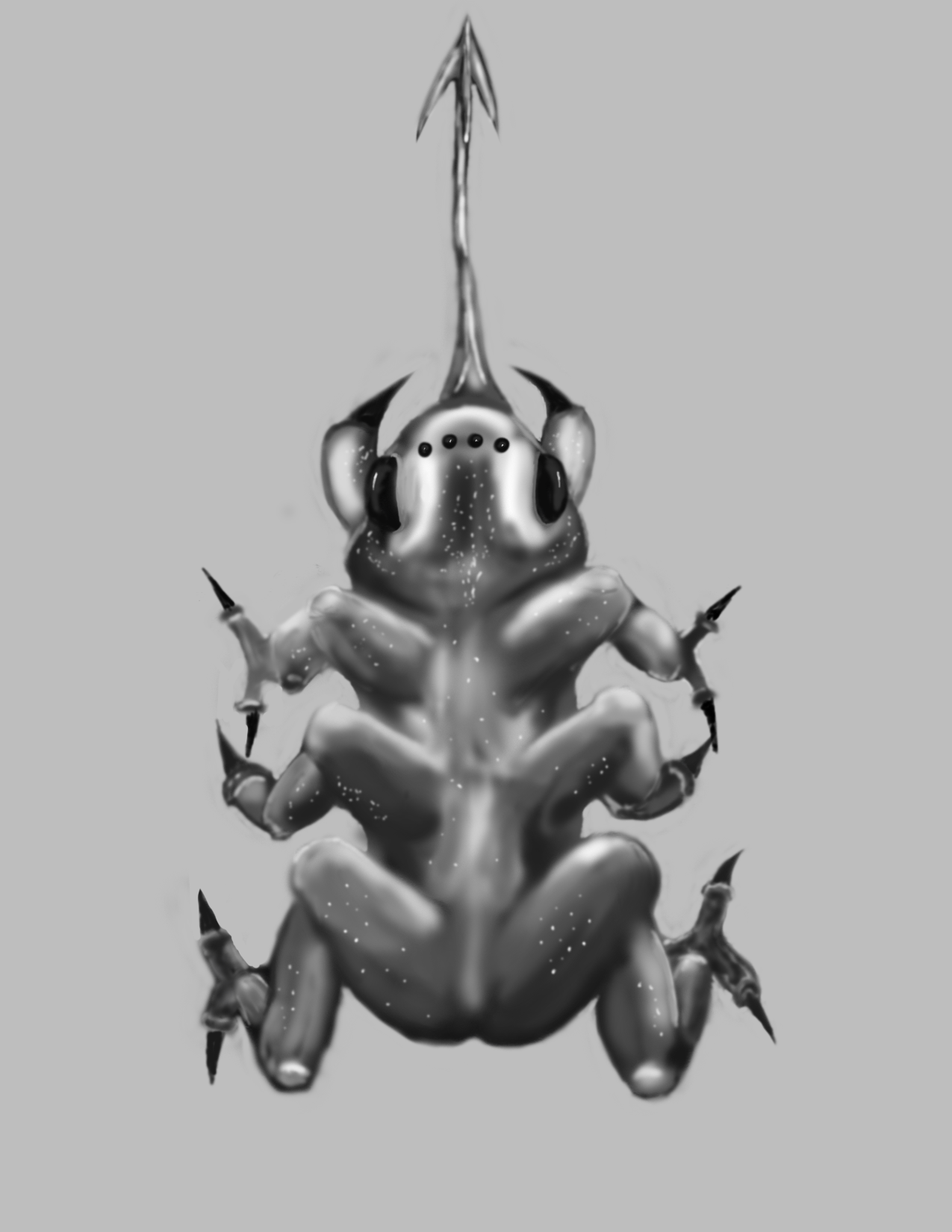 Barb-Tongued Arrow Spider 2 by JHartsock77 on DeviantArt