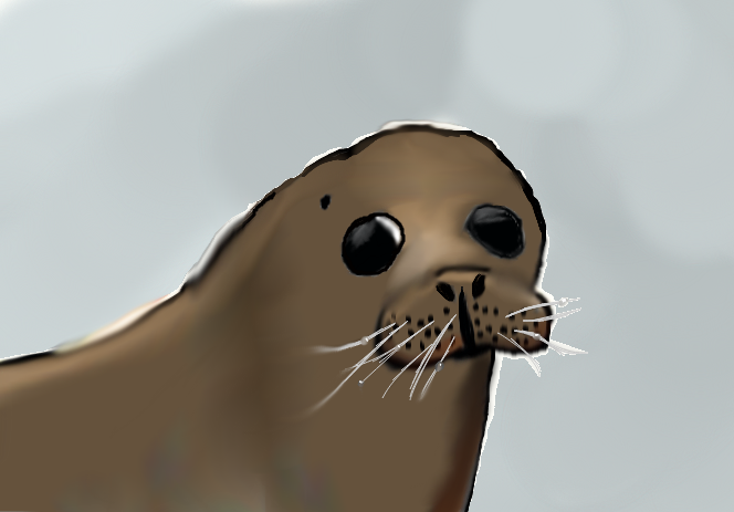 SEAL!! :3!! by ToothlessJamaaAJ on DeviantArt