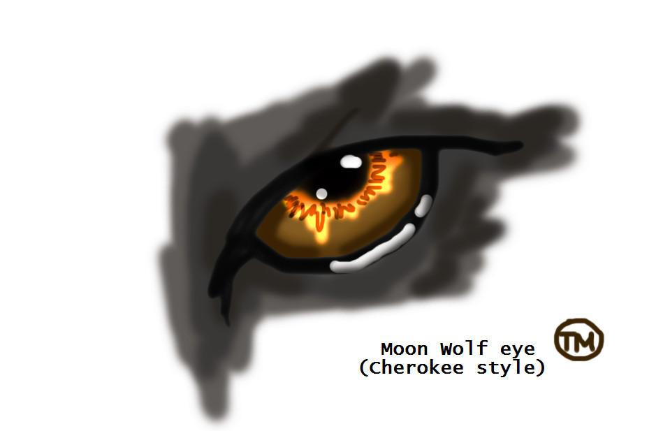 New wolf eye by NativeAmericanArts on DeviantArt
