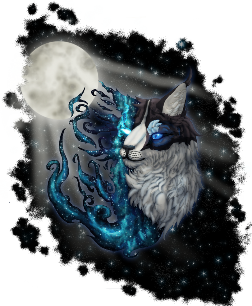 Starry Eyed (100th deviation!) by IllusiveWyvern on DeviantArt