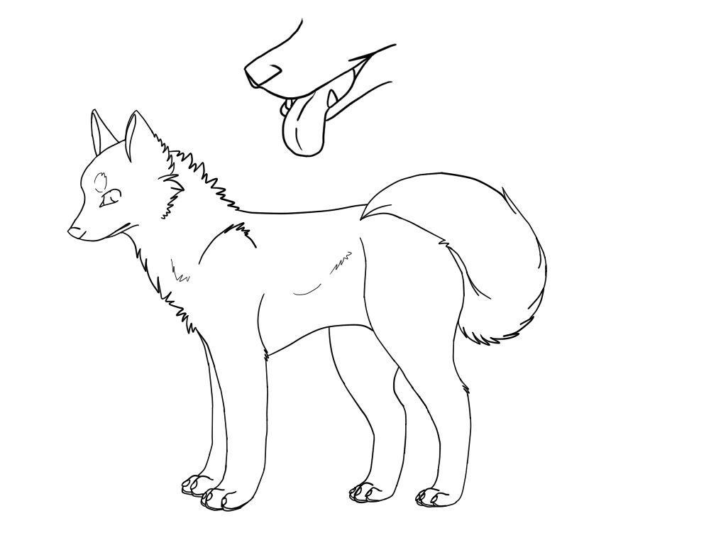 Free Wolf Reference Sheet by Sinxo on DeviantArt