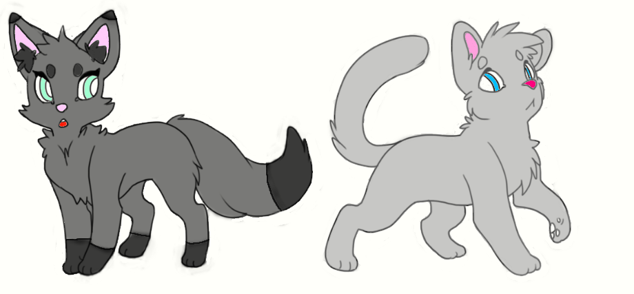 Stormpaw and Rainpaw by drizzlefallthekitty on DeviantArt