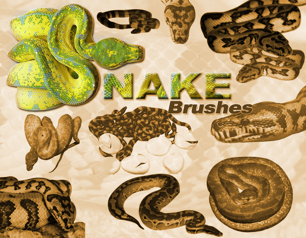 snakes by Thorston on DeviantArt