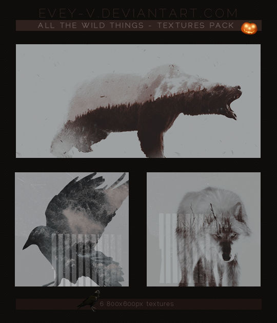 #42 Textures Pack - All The Wild Things by Evey-V on DeviantArt