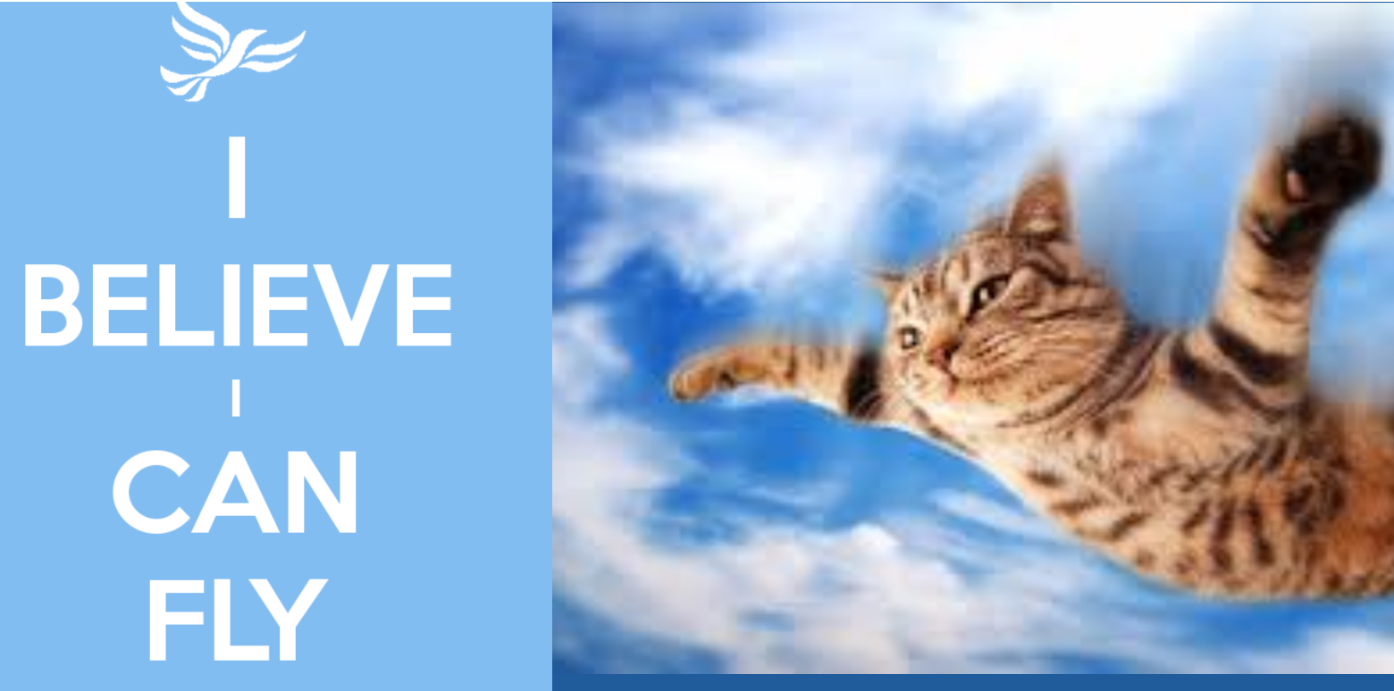 THE CAT CAN FLY?! by 67430andrew14 on DeviantArt